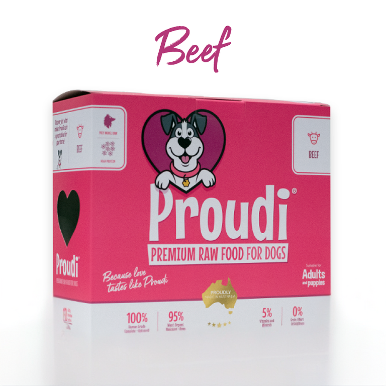 Proudi® Raw Beef Patties for Dogs