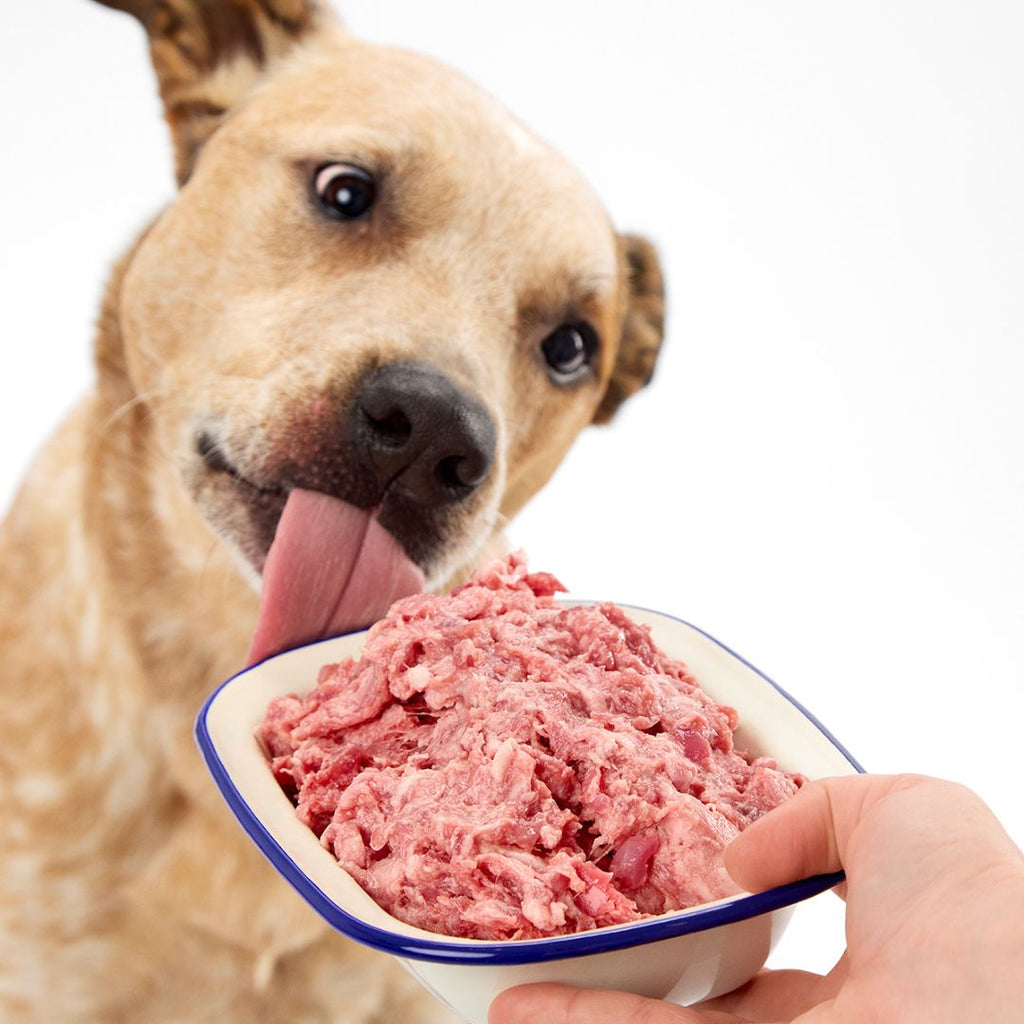 Raw Duck Mince for Dogs & Cats 1kg | Raw Pet Co.
