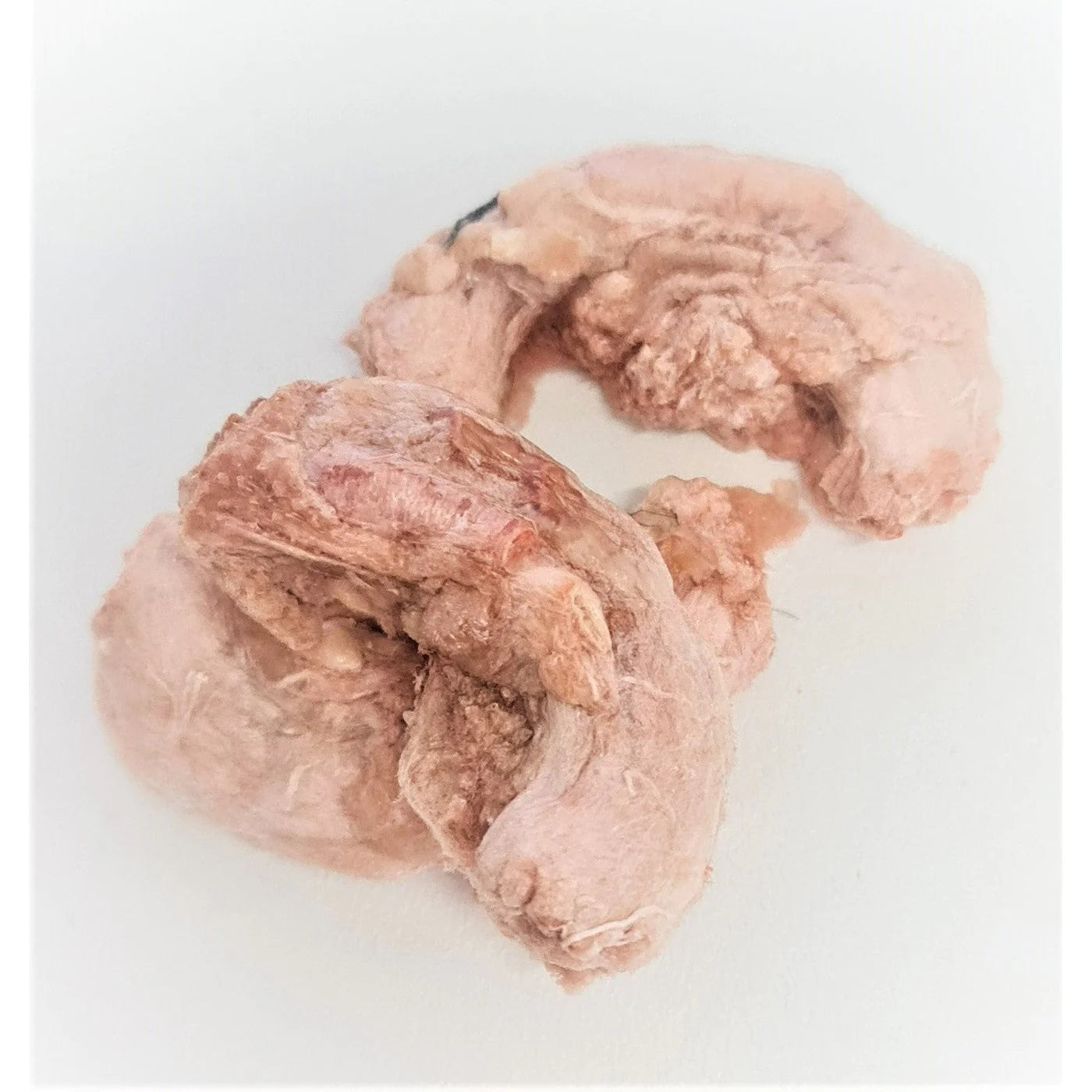 Freeze Dried Quail Necks – rawpetco