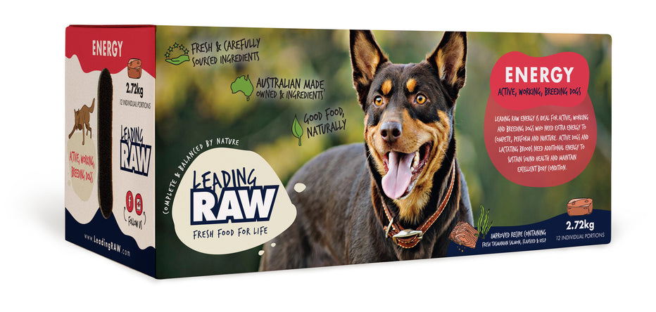 Leading Raw Energy for Active Dogs | Raw Pet Co.