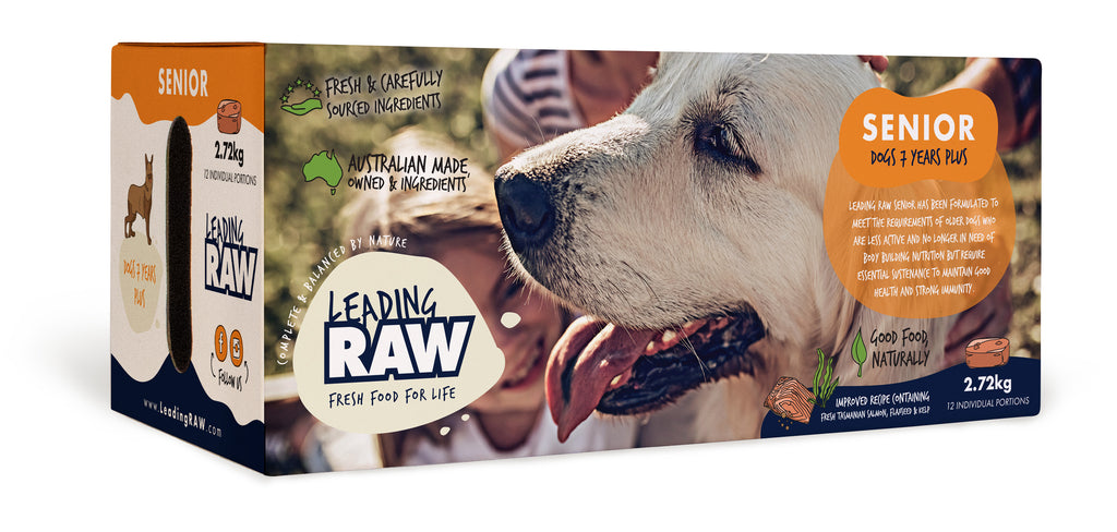 Leading Raw for Senior Dogs