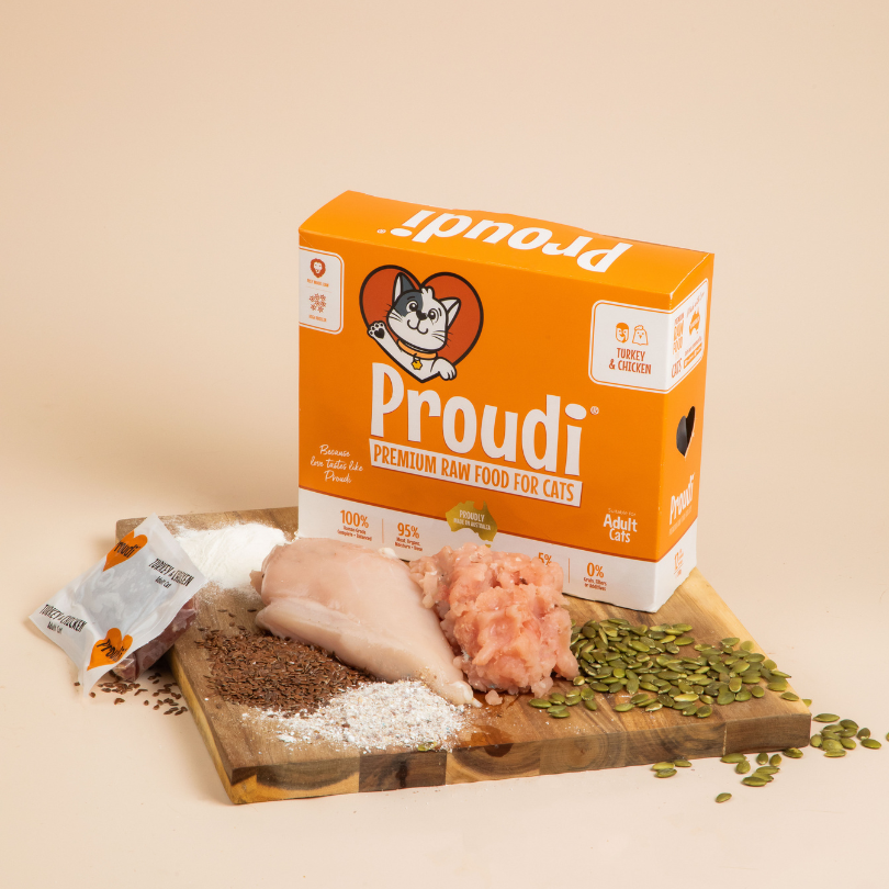 Proudi® Raw Turkey & Chicken For Cats – rawpetco