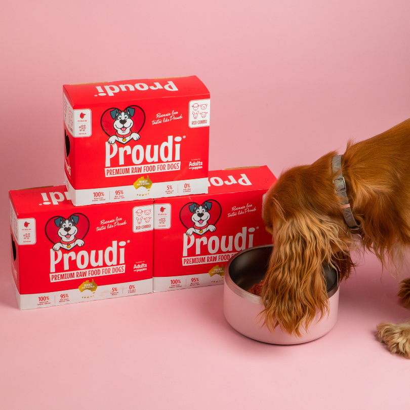 Proudi® Raw Red Combo Patties for Dogs