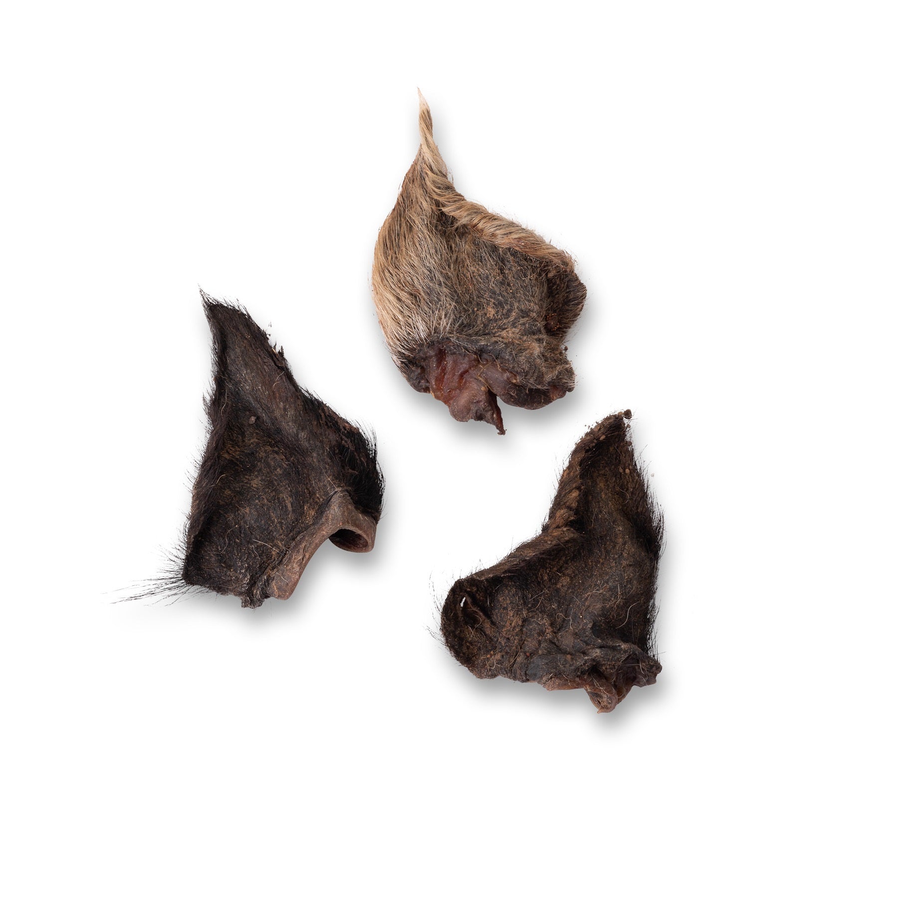 Wild Boar Ears with Hair On – rawpetco