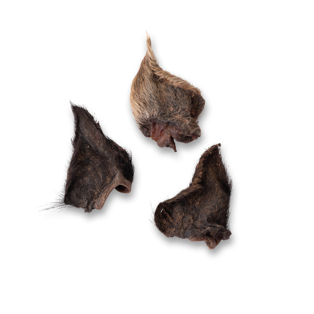 Wild Boar Ears with Hair On – rawpetco